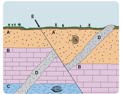 Law Of Superposition Diagram Quizlet