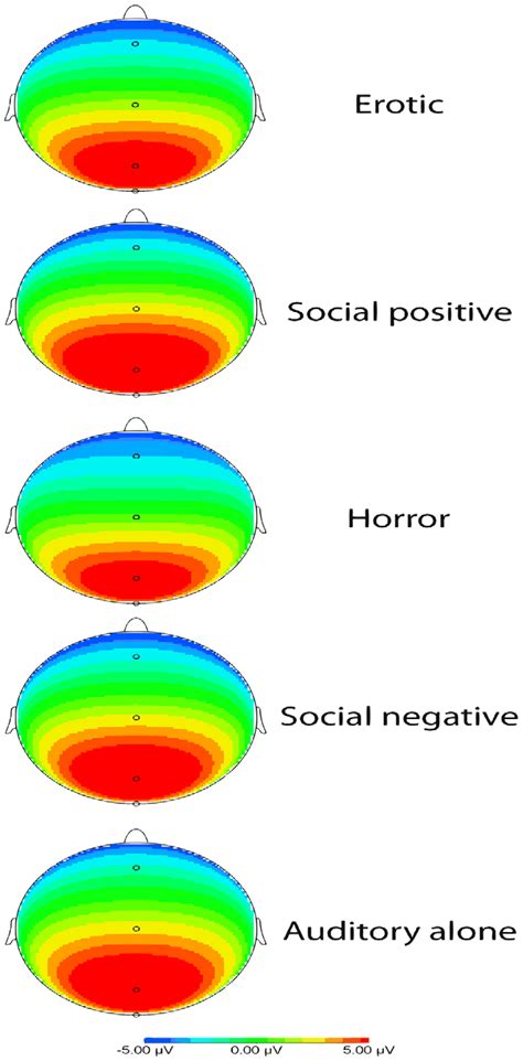 Voltage Map Doi Journal Pone G Download Scientific Diagram