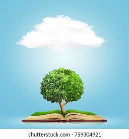 Tree Growing Out Book Over 2 738 Royalty Free Licensable Stock Photos Shutterstock