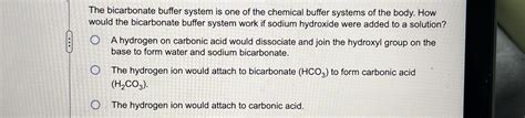 Solved The Bicarbonate Buffer System Is One Of The Chemical