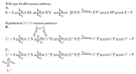 8 Possible Differences In The Microscopic Kinetic Constants In Reaction Download Scientific