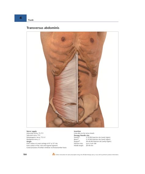 pictorial atlas of botulinum toxin injection archidemia