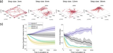 Clustering And Segregation In Intracellular Protein Interactions