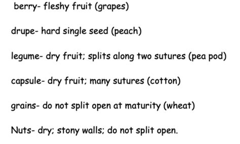 Biology 104 Quiz Ch 34 Flashcards Quizlet