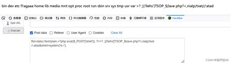 ctfshow单身杯 csdn博客