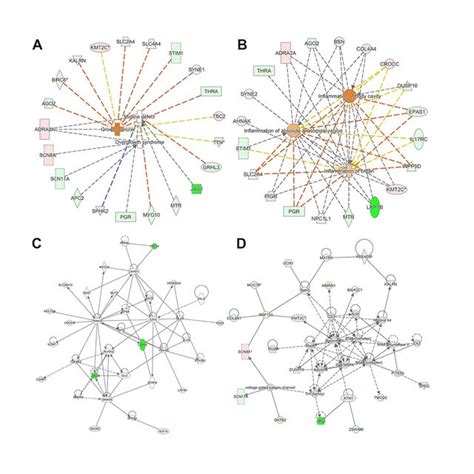 Gene Ontology Go And Subcellular Location Analysis Of The Download Scientific Diagram