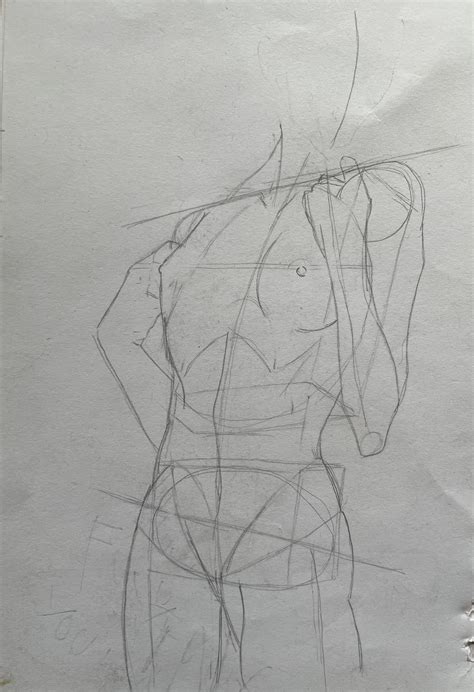 Female Anatomy By Magicart20 On Deviantart