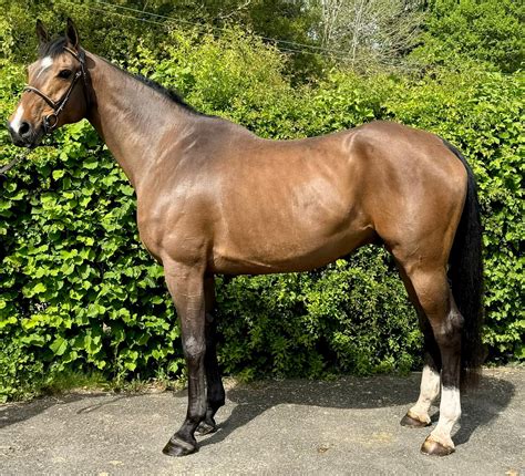 Matthew Pike Matthew Pike Added A New Photo