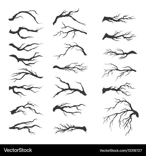 Set Dry Tree Branches Royalty Free Vector Image