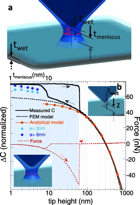 Meniscus Model A Schematic Diagram Depicting The Model Parameters A Download Scientific
