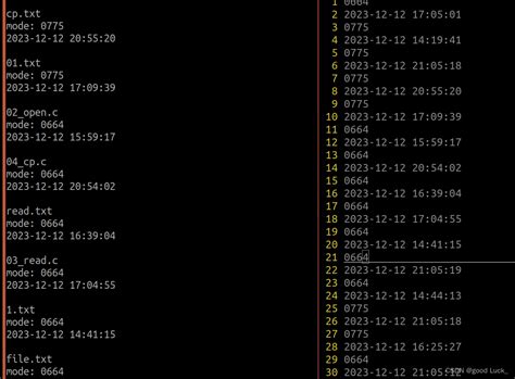 C语言实现文件权限拷贝与访问时间记录 Csdn博客 C语言实现文件权限拷贝与访问时间记录 Csdn博客