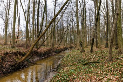Karthaus Birdingplaces