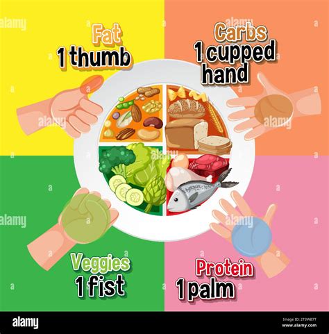 Comparing Food Amounts Using Hand Portion Sizes Stock Vector Image And Art Alamy