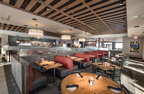 Orange Village Oh Coopers Hawk