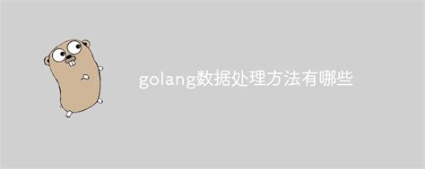 golang資料處理方法有哪些 golang有哪些資料處理方法 golang php中文網