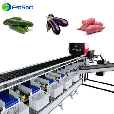 Sweet Potato Electronic Sorting Machines Vegetable Sorting And Packing