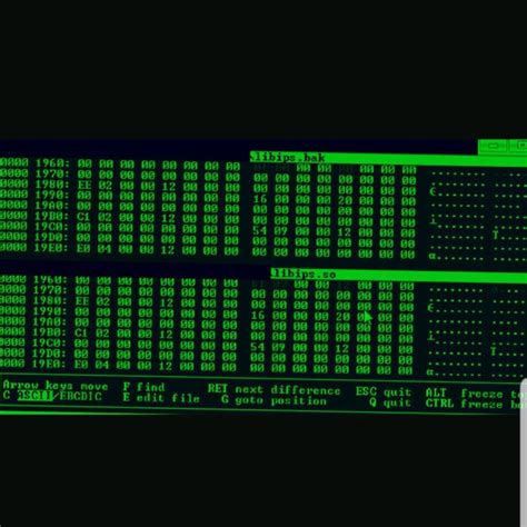 Pape Fall On Linkedin Cve 2022 42475 A Heap Based Buffer Overflow