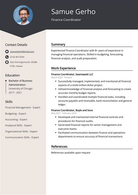 Finance Coordinator Resume Example Free Guide