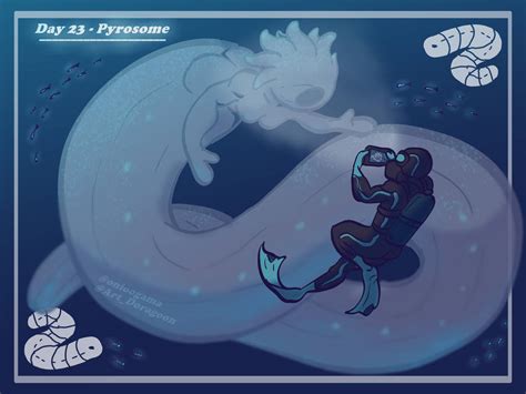 Mermay 2023 Day 23 Pyrosome By Bangboodoragon On Deviantart