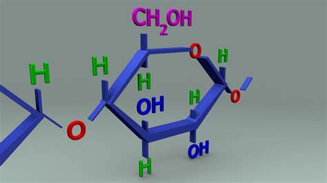 Glycogen Molecule Structure