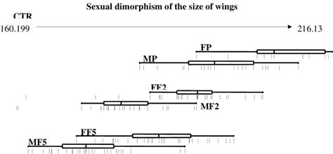 Quantile Box Plots Showing The Magnitude Of The Sexual Dimorphism In