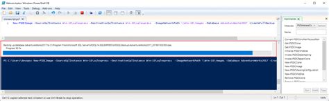 Sql Database Provisioning Via Database Clone Using Psdatabaseclone Powershell Module