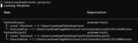 Managing Your Runtime Activestate Platform Documentation