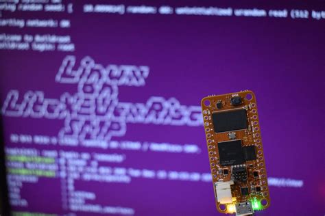 Alternatives And Detailed Information Of Linux On Litex Vexriscv