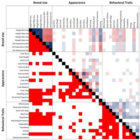 Dimensional And Hierarchical Assessment Of American Kennel Club Breeds And Behavioral Trait