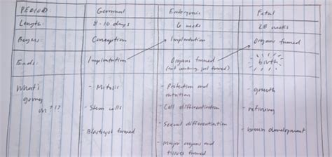 Genetics Pregnancy Birth Parents Flashcards Quizlet