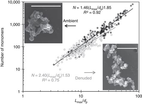 Fractal Dimension Of Soot Particles Fractal Dimension Of Ambient 1 In Download Scientific