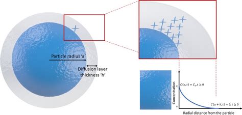 Schematic Diagram Illustrating The Dissolution Of A Drug Particle