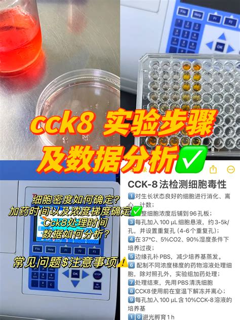 Cck 8细胞毒性实验全攻略🧪