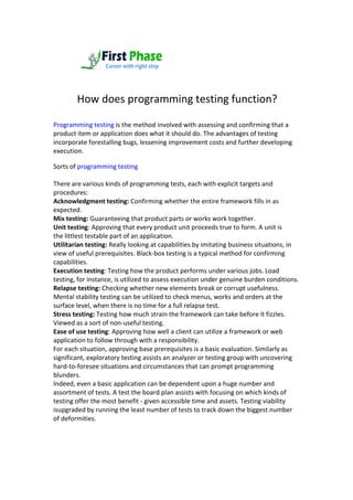 Programming Testing Pdf