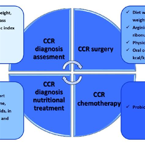 Workflow Of Nutritional Interventions During Crc Diagnosis And Under Download Scientific