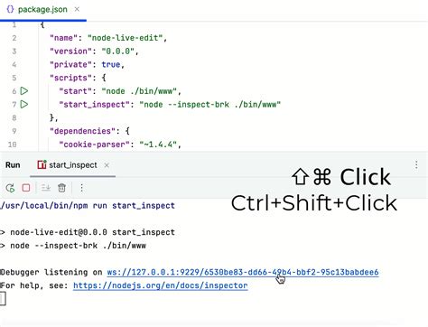运行和调试 Nodejs Intellij Idea 文档