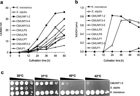Isolation Characterization And Identification Of Xylose Fermenting