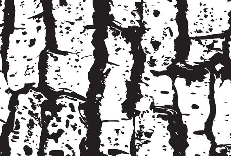 Black And White Birch Bark Grunge Texture Background 41900846 Vector