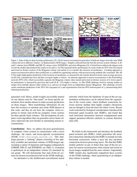 Robust Neural Circuit Reconstruction From Serial Electron Microscopy