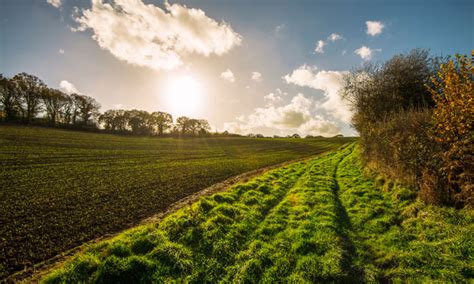 Малопродуктивні деградовані та забруднені землі в Україні дослідження Saf Україна