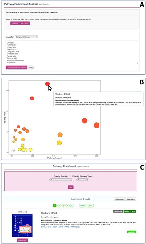 Figure 3 From Pathbank 20—the Pathway Database For Model Organism