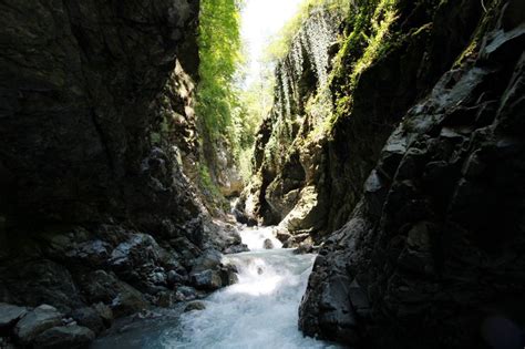 ლაგოდეხის დაცული ტერიტორიები კახეთი 0 Gel კავკასუს ფერედაისი