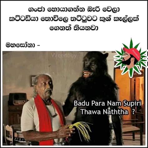 බඩු පාරනම් මරු R Tkasylum