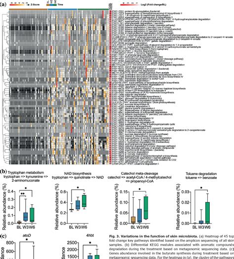 Figure 3 From Effect On The Skin Microbiota Of Oral Minocycline For Rosacea Semantic Scholar