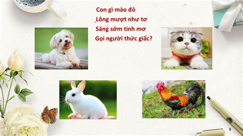 Ppt B I Gi Ng Thi T I C Ng B Powerpoint Presentation Free Download Id