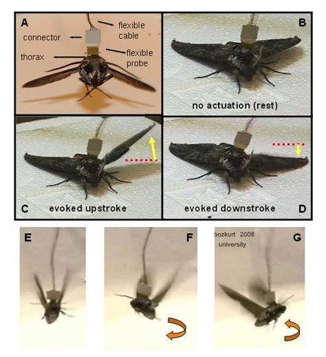 Mekaniac On Twitter I Love This Slide Lol And Vaguely Recall Some
