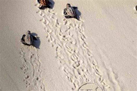 How To Fix A Slow Loading WordPress Website 7 Performance Tips