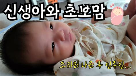 조리원 퇴소 후 첫 일주일 신생아 적응하기 당근쵝오 초보맘 Youtube