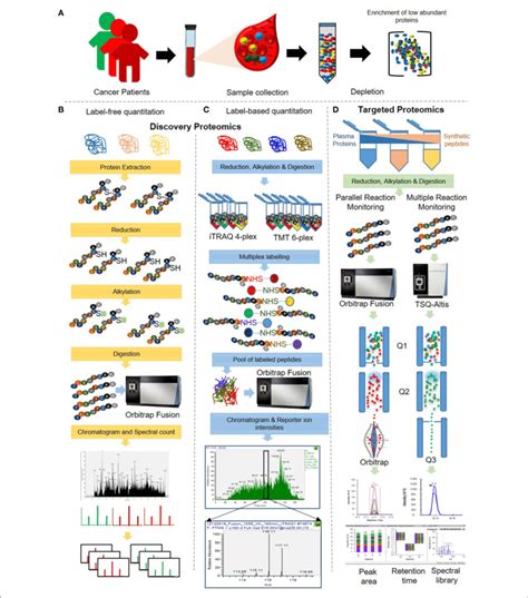 Schematic Representation Of The Integrated Workflow For Cancer