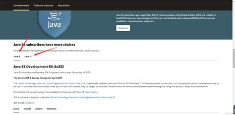 同时安装多个版本的jdk（jdk18和jdk17）并配置环境变量jdk17安装会和jdk18 Csdn博客